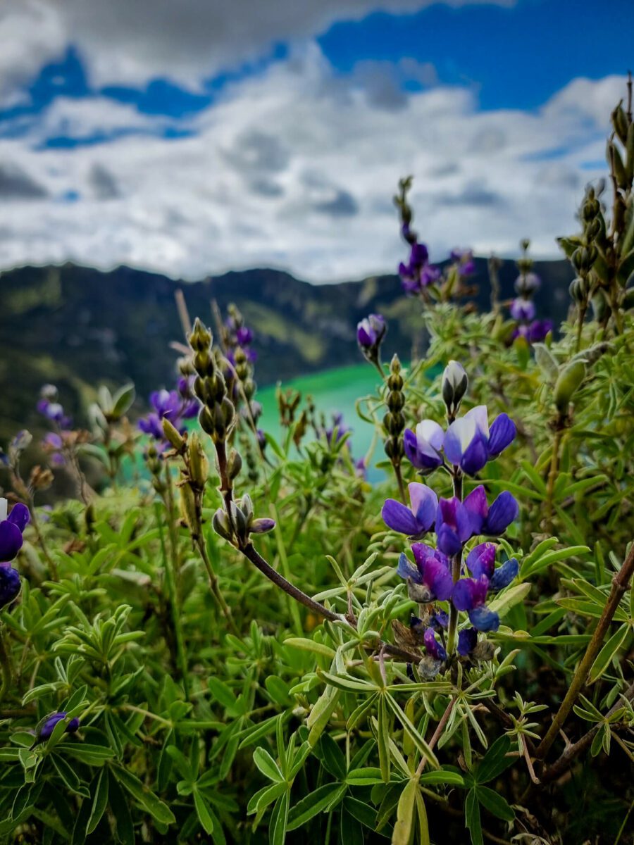 Visiter les Andes équatoriennes : Quilotoa, Cotopaxi, Chimborazo