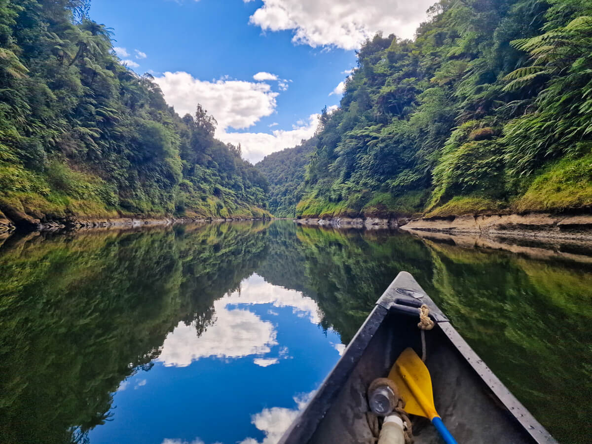 Te Araroa - Section 3 : Taumarunui à Whanganui (1 052 à 1 380 km)